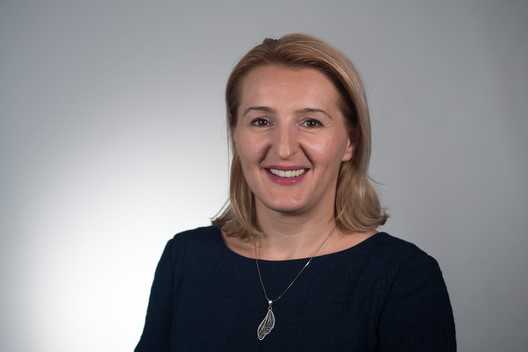 Harvard Global Health Institute Awards Three Harvard LEAD Fellowships ...