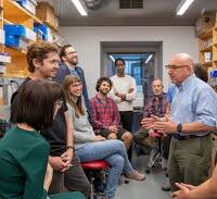 Rubin Lab, Department of Immunology and Infectious Diseases, Harvard T ...